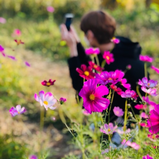 Latti (@Latti) | 뽈레 Polle