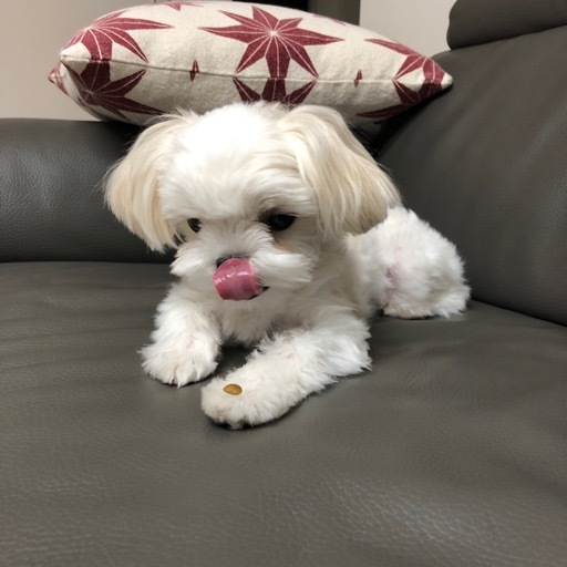 호닝 (@hoeun) | 뽈레 Polle